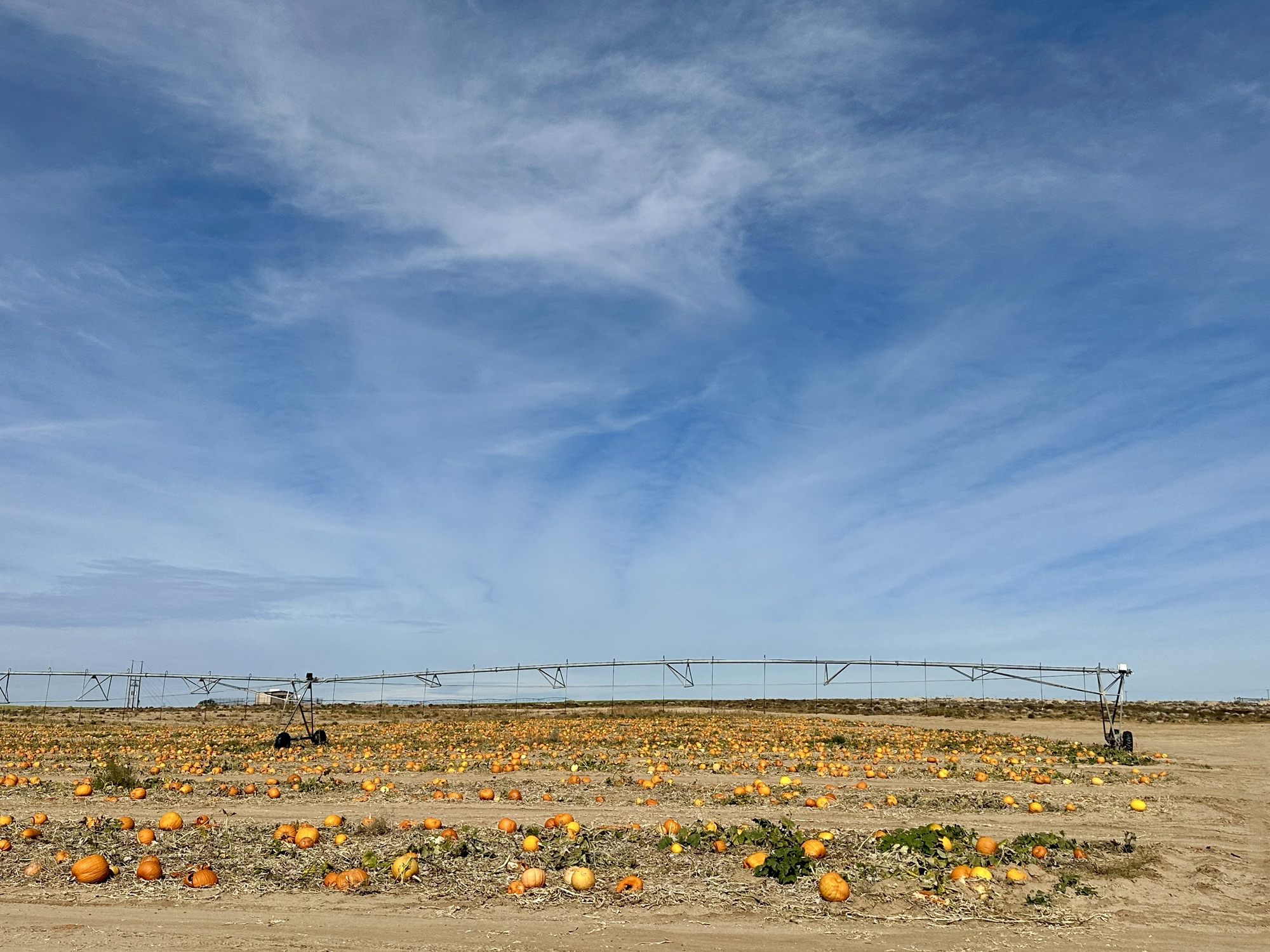 last day of october – KNECHTTREK